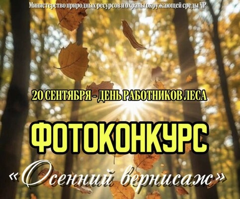 Минприроды Чечни объявило о старте фотоконкурса «Осенний вернисаж» | ИА ...